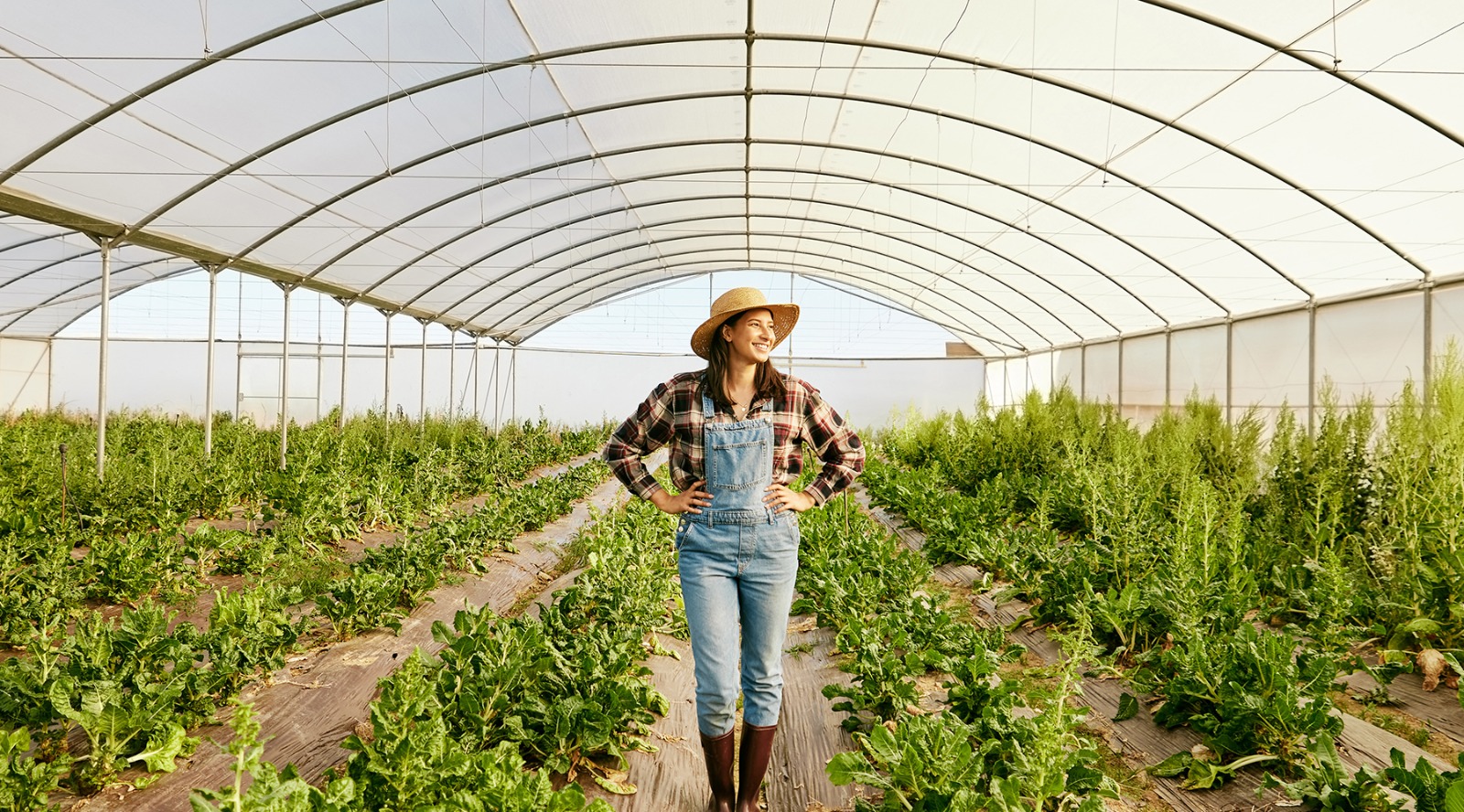 Traceability and transparency in the agriculture industry